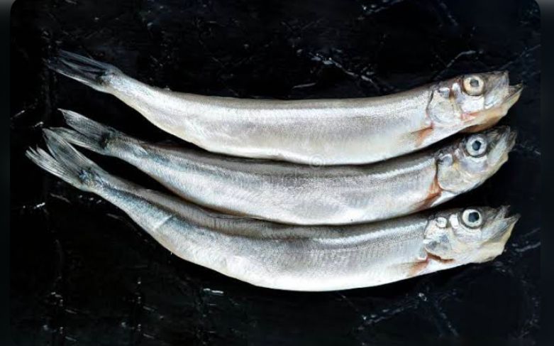Ikan Shisamo: Segudang Manfaat untuk Kesehatan Anak dan Keluarga