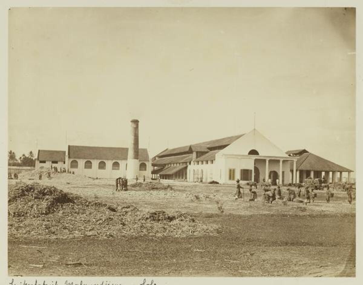 Sering Dianggap Angker, Ini Sejarah Pabrik Gula di Indonesia