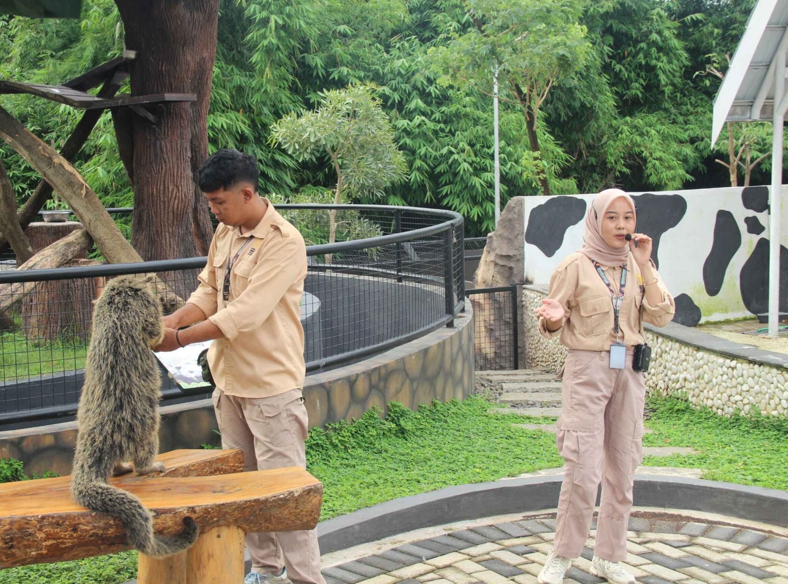Wisata Edukatif Jember Mini Zoo: Daya Tarik, Wahana, Lokasi, Jam Buka ...