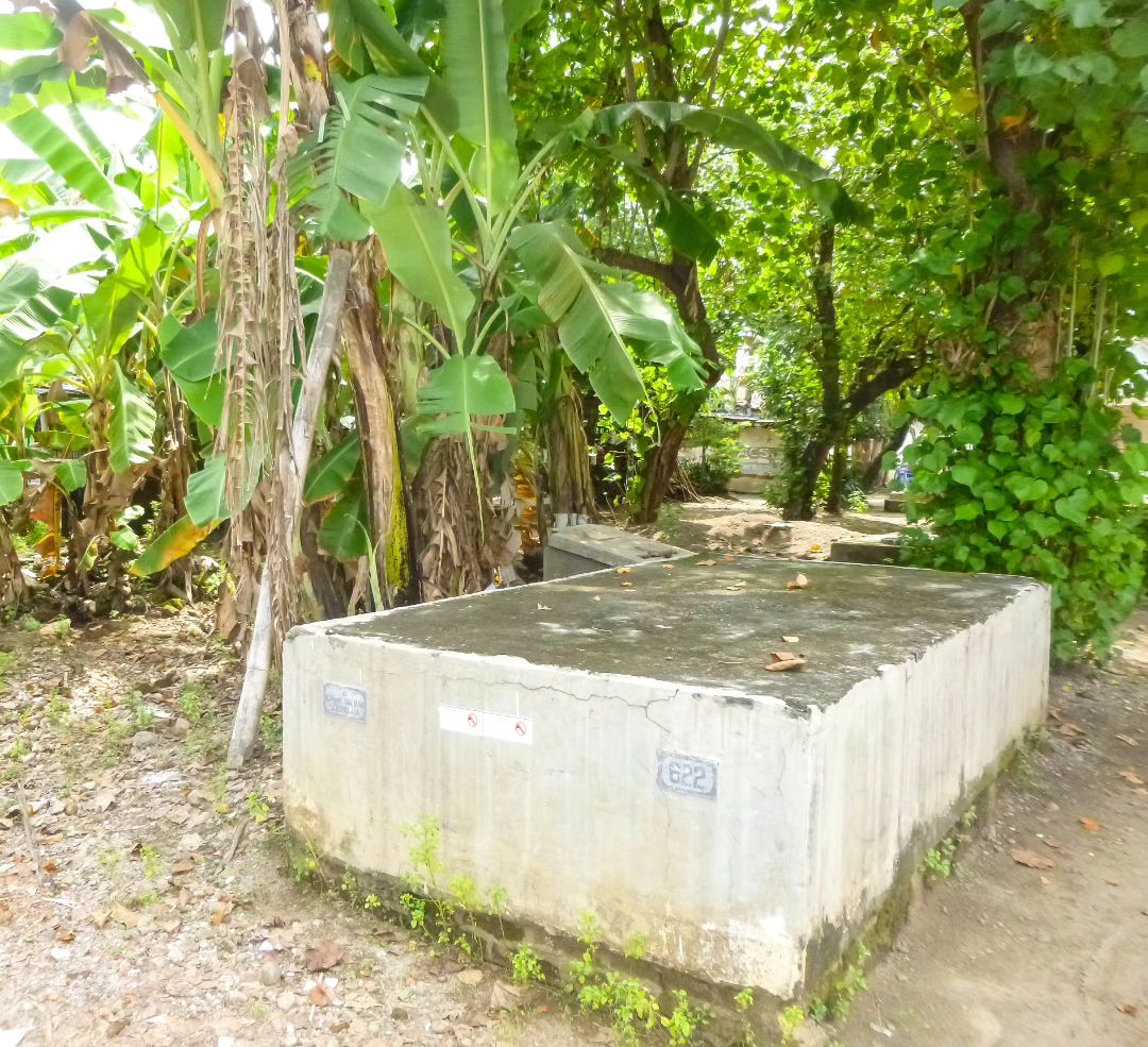 Kisah Mary Manuel, Wanita Kaya Raya di Zaman Hindia Belanda yang Tak ...