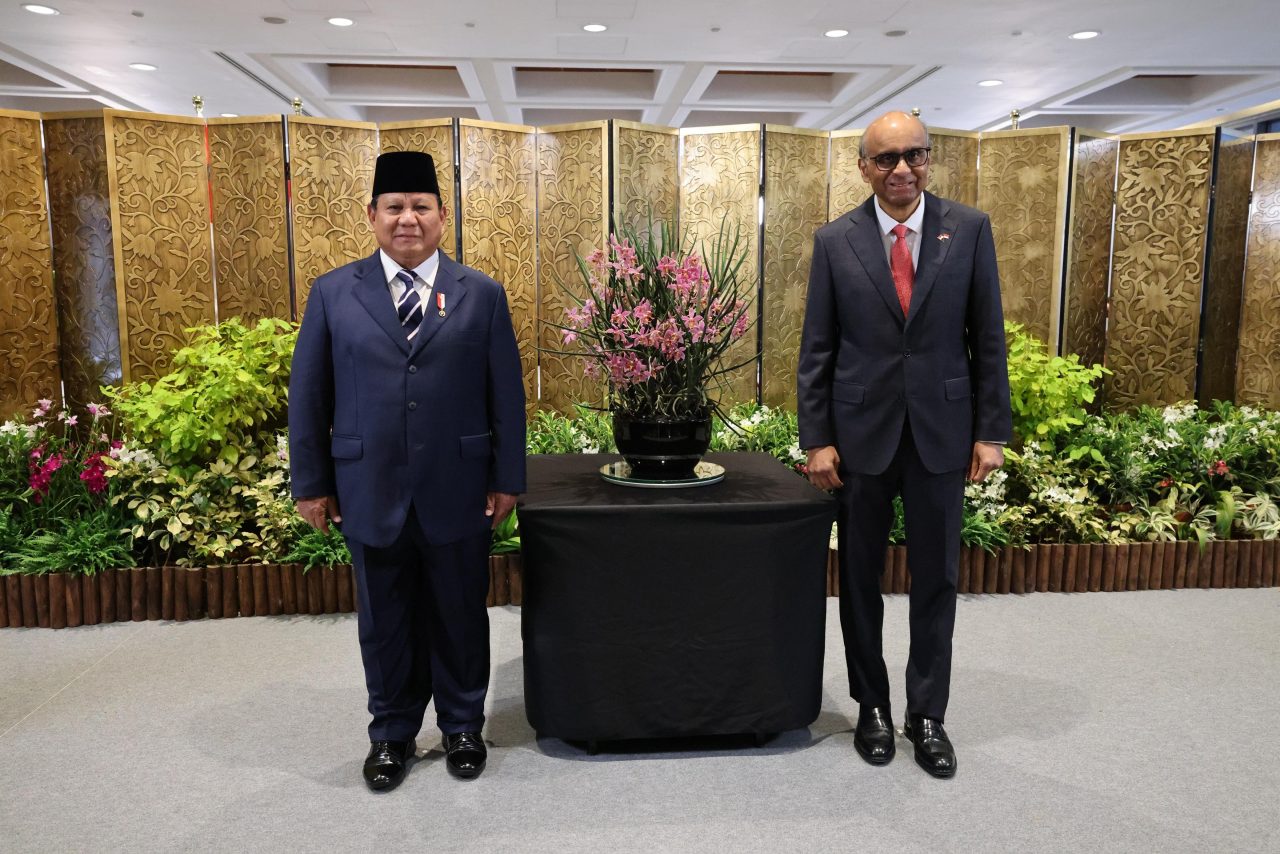 “Paraphalante Dora Sigar Soemitro”: Anggrek yang Dinamai Prabowo di ...