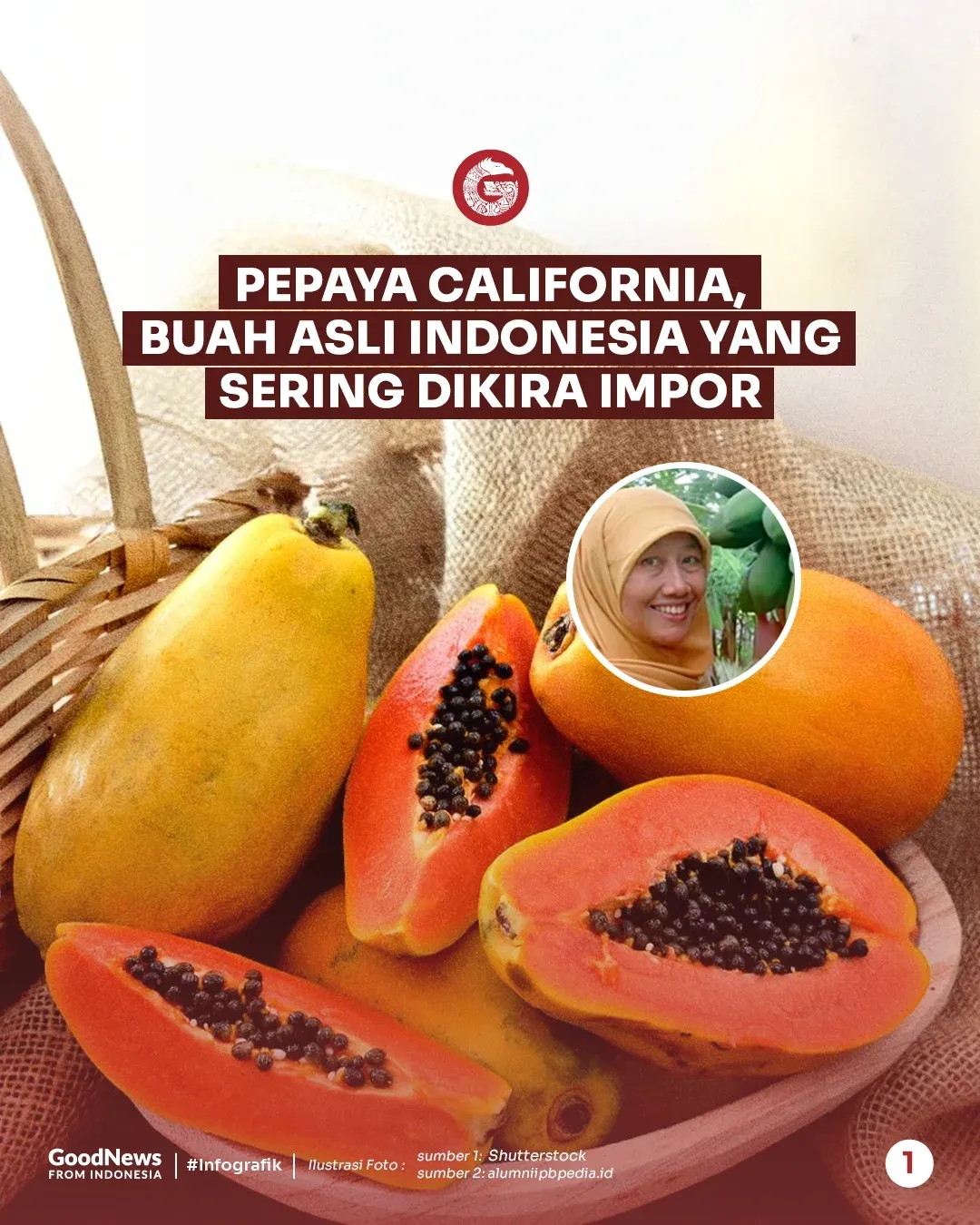 Pepaya California, Buah Asli Indonesia yang Sering Dikira Impor