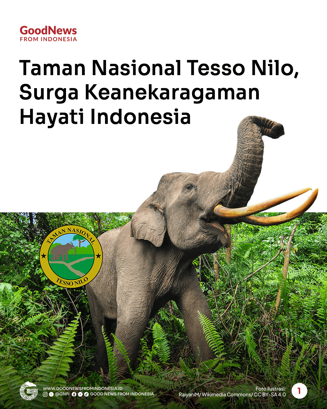 Taman Nasional Tesso Nilo, Surga Keanekaragaman Hayati Indonesia