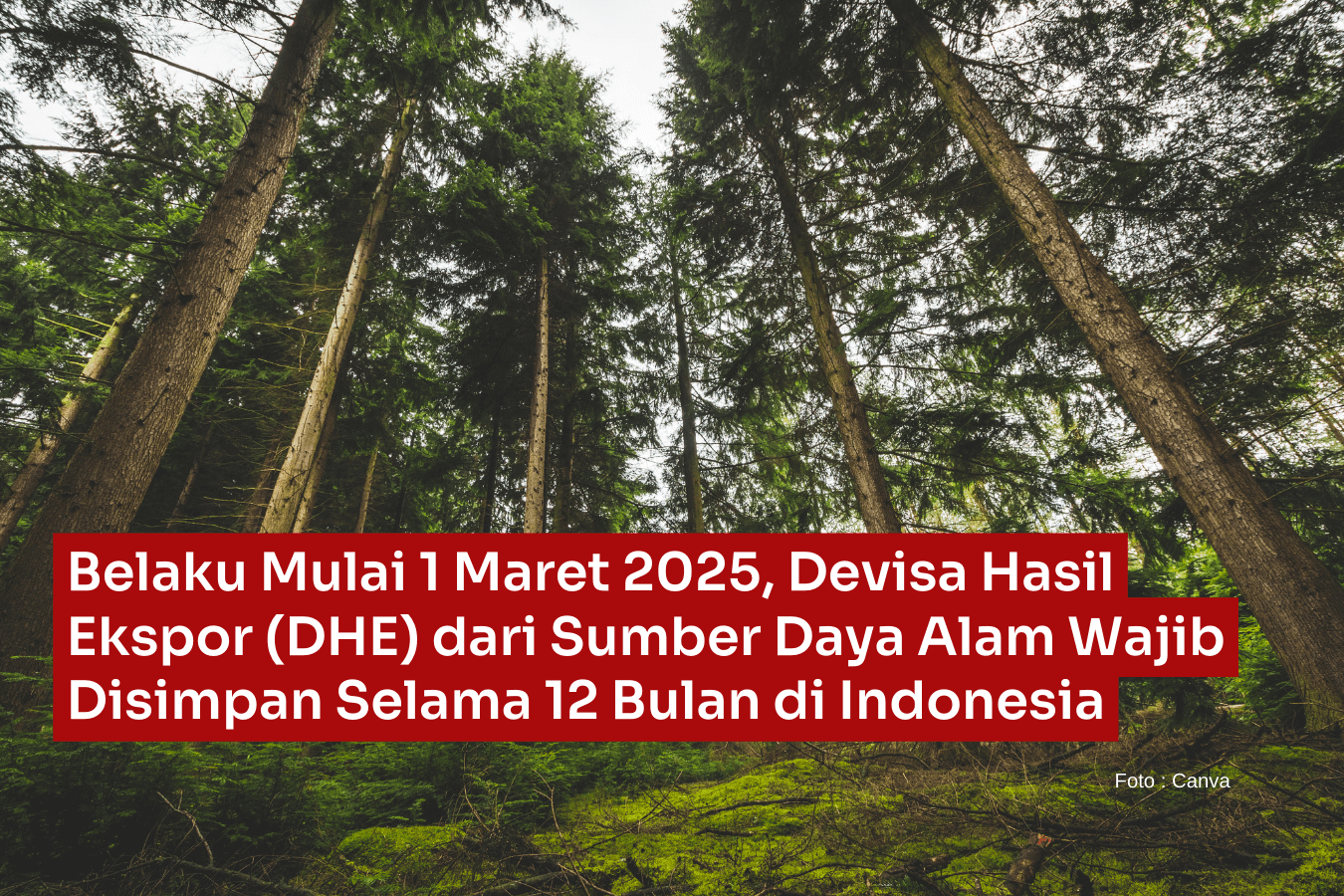 Belaku Mulai 1 Maret 2025, Devisa Hasil Ekspor (DHE) dari Sumber Daya Alam Wajib Disimpan Selama ...