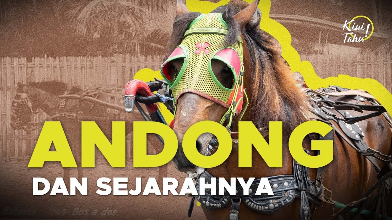 Jalan Panjang Andong: Transportasi Para Bangsawan yang Menolak Punah