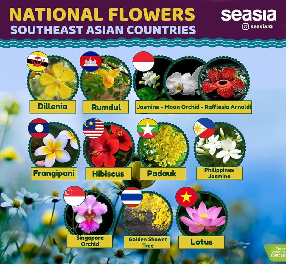 (NEW) Top 10 Seasia.Co Infographics of The Year - Seasia.co